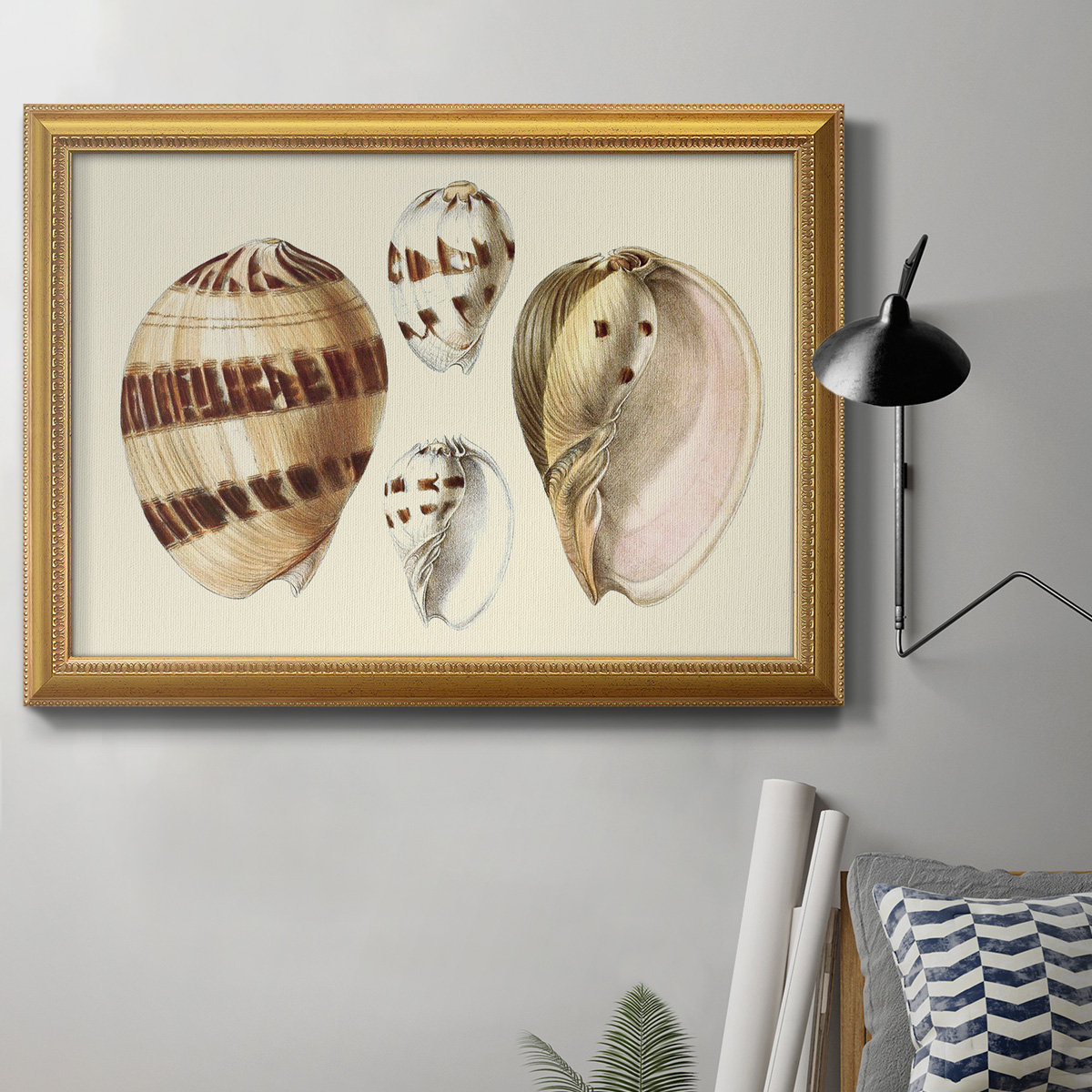 Rosecliff Heights Splendid Shells VII Premium Framed Canvas- Ready To ...