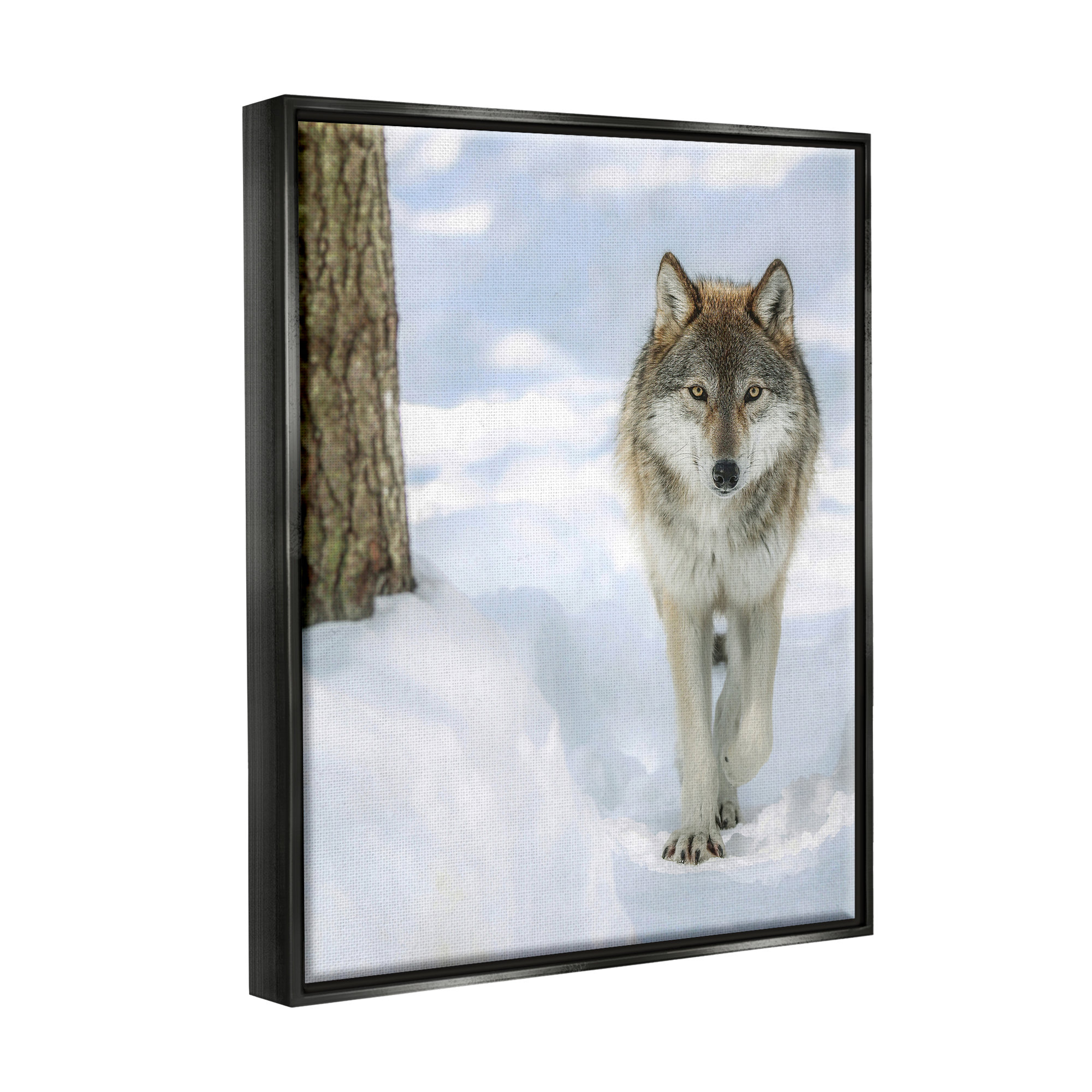 Millwood Pines Wild Wolf Winter Snow Photography Framed Floater Canvas ...