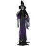 Haunted Hill Farm Life-Size Poseable Skeleton Witch with Multicolor ...