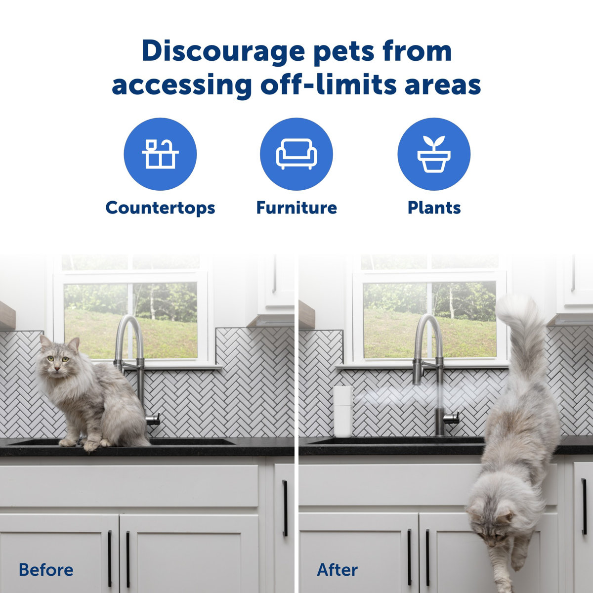 Petsafe® Ssscat® Automatic Spray Pet Deterrent & Reviews | Wayfair