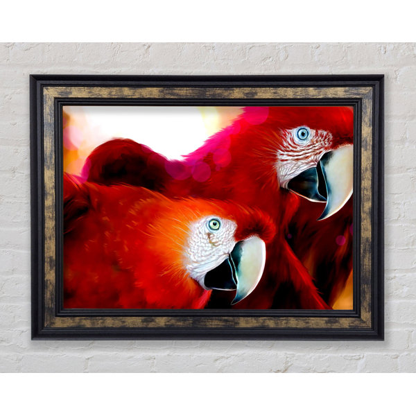 Bright Star Parrots - Single Picture Frame Print | Wayfair.co.uk
