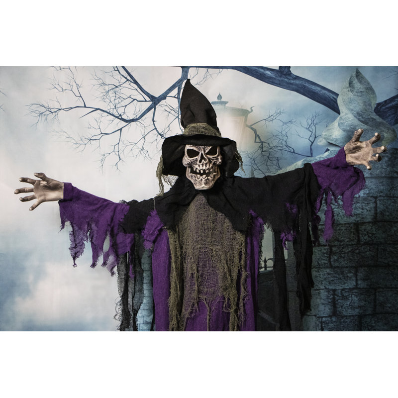 Haunted Hill Farm Life-Size Poseable Skeleton Witch with Multicolor ...