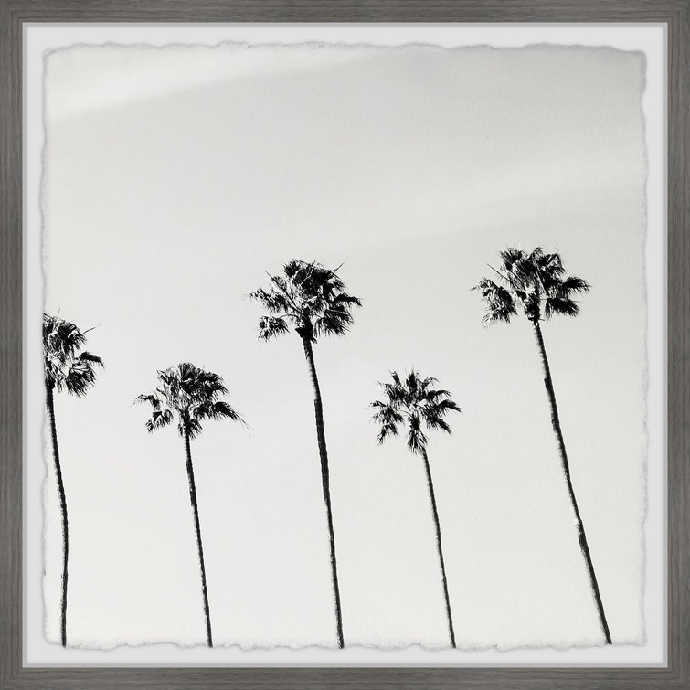 Bay Isle Home B&W Coco Trees - Single Picture Frame Photograph ...