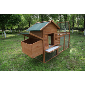 Tucker Murphy Pet™ Zebediah 12 Square Feet Chicken Coop with Chicken ...
