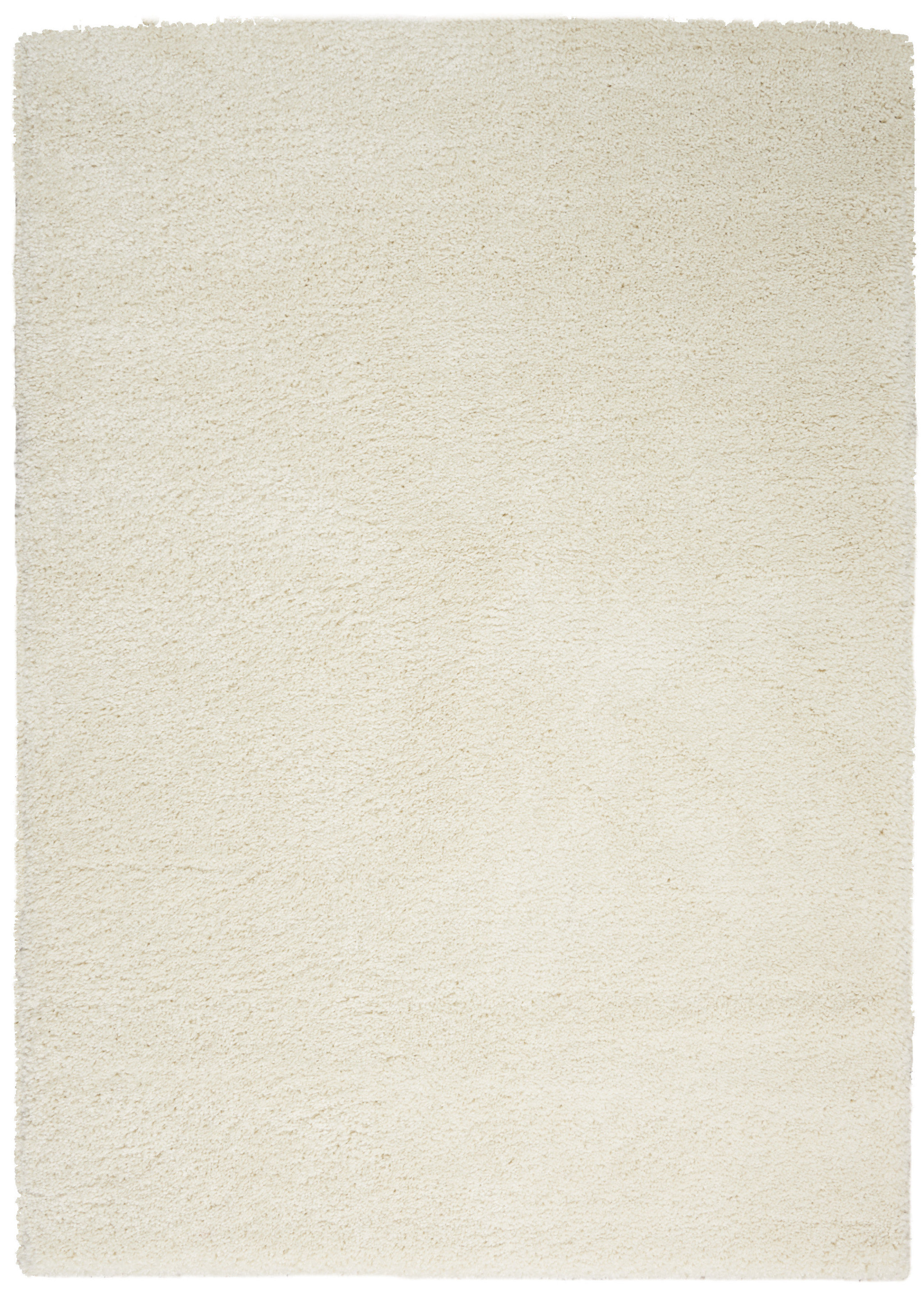 HomeRoots 5' X 7' Ivory Shag Area Rug | Wayfair