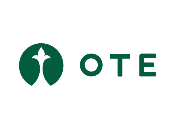 OTE - Wayfair Canada