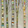 Ebern Designs " Birch Trees On Silver " by Eli Halpin & Reviews | Wayfair