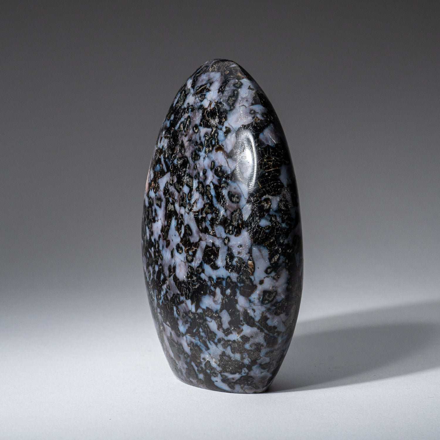Astro Gallery of Gems Genuine Polished Indigo Gabbro (Small) Freeform ...
