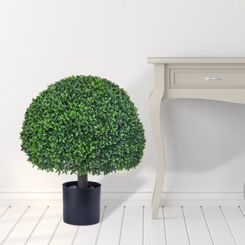 Primrue 20" Artificial Boxwood Dome in Pot | Wayfair