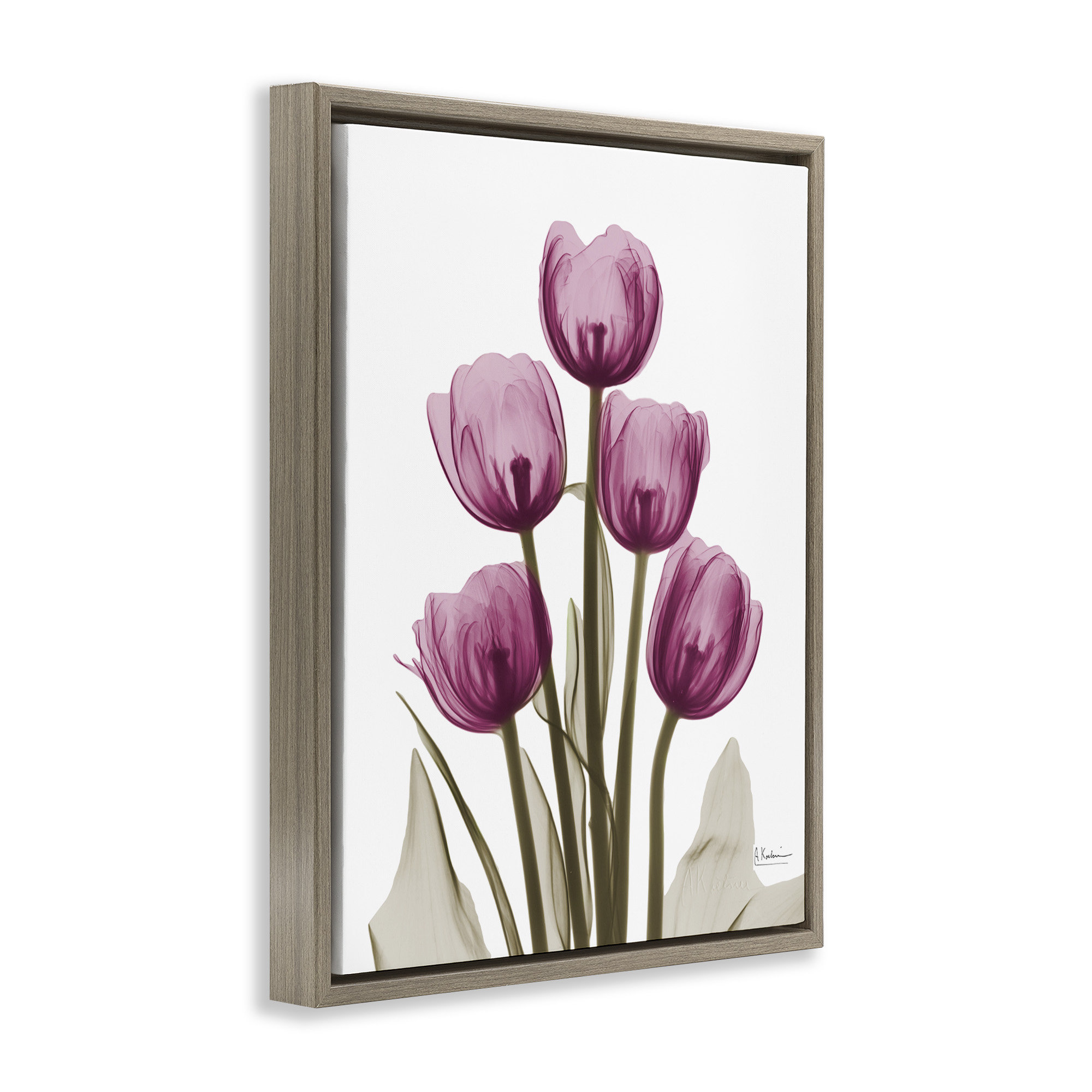 Winston Porter Pink X-Ray Tulips | Wayfair