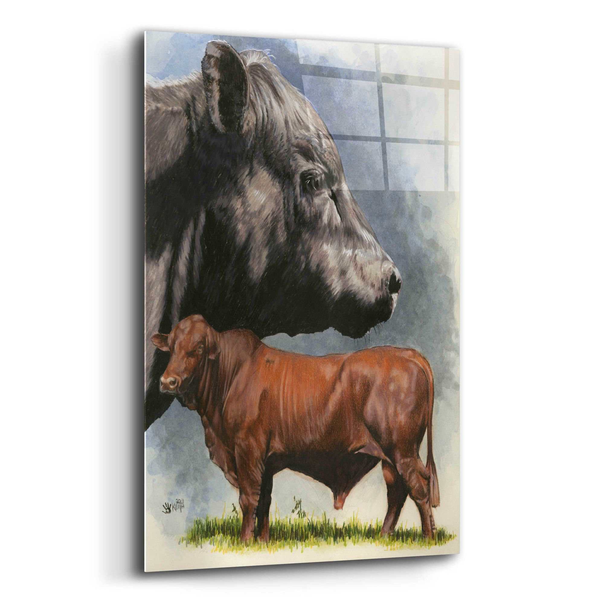 Gracie Oaks 'Angus Cattle' By Barbara Keith, Acrylic Glass Wall Art ...
