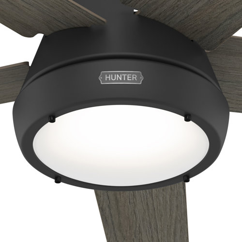 Hunter Fan Burroughs 52'' Ceiling Fan with Light Kit | Wayfair