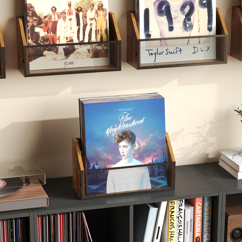 17 Stories Vinyl Record Storage Wall Mount | Wayfair