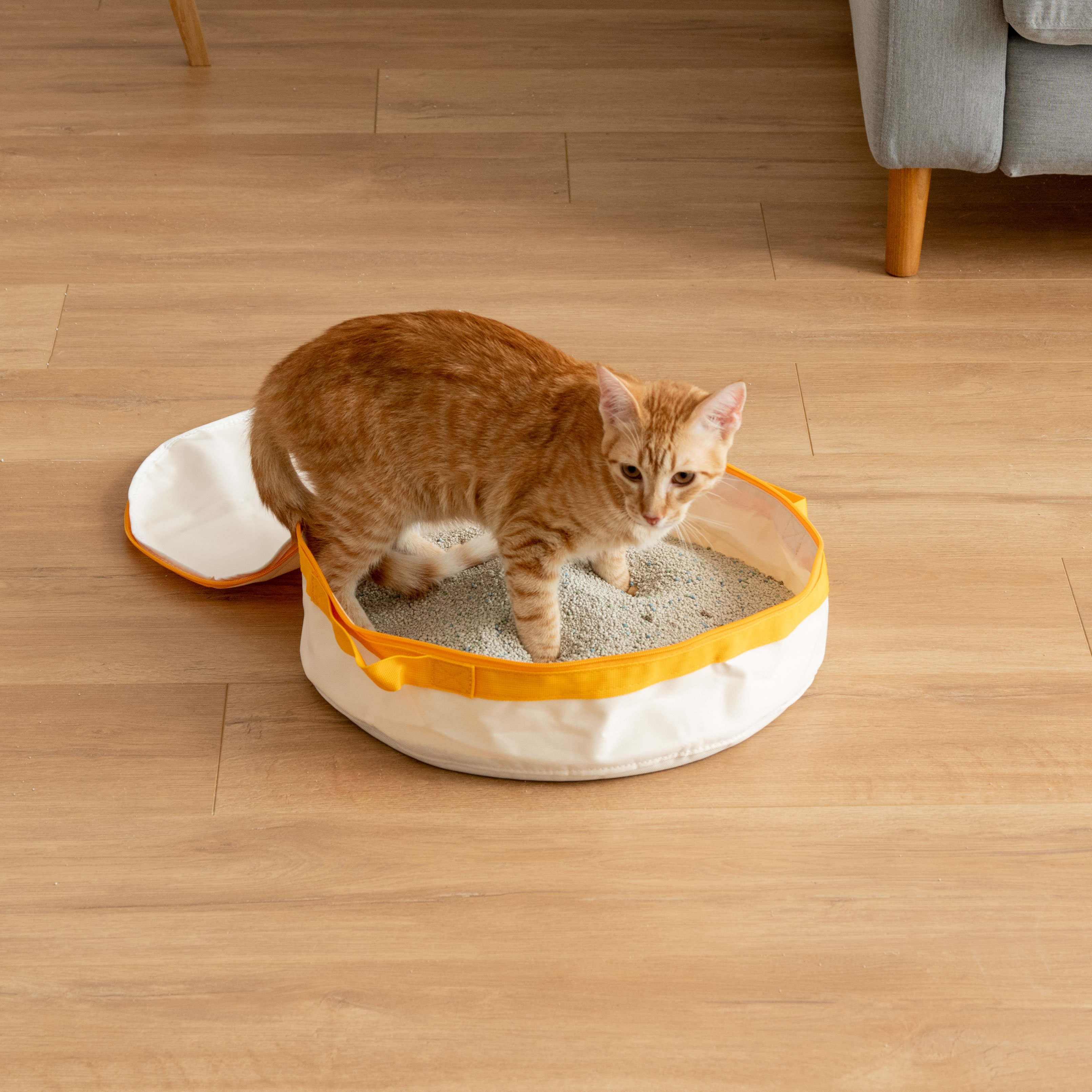 IRIS USA, Inc. IRIS Canvas Litter Box & Reviews | Wayfair