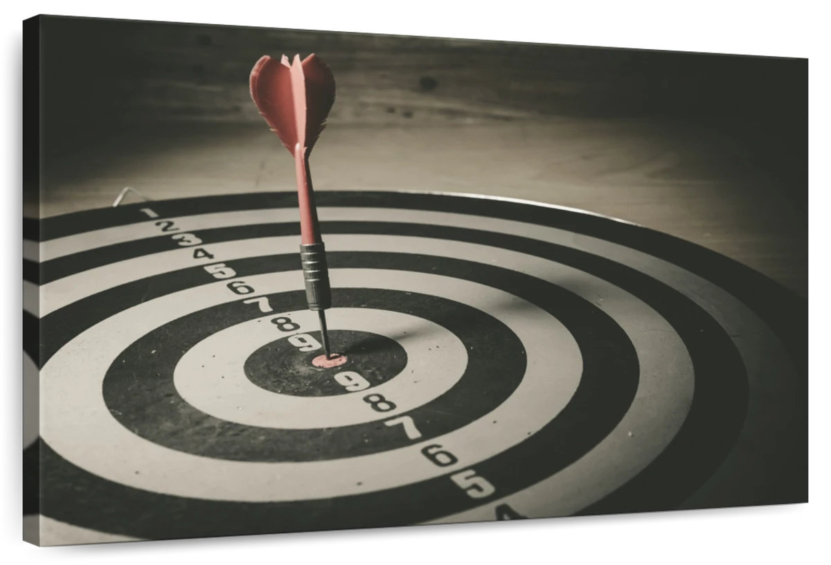 Elephant Stock Bullseye Target Dart - Wayfair Canada
