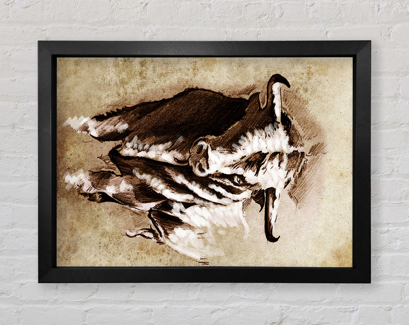 Bright Star Bull Stare - Single Picture Frame Art Prints | Wayfair.co.uk