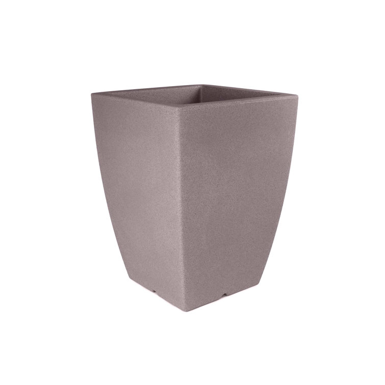 Ebern Designs Deniqua Plant Pot | Wayfair.co.uk