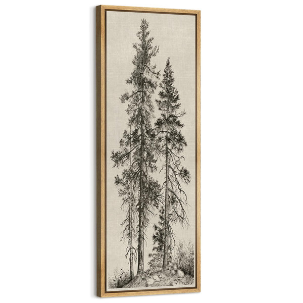 wall26 Vintage Pine Tree Drawing Classic Country Rustic Artwork - Extra ...