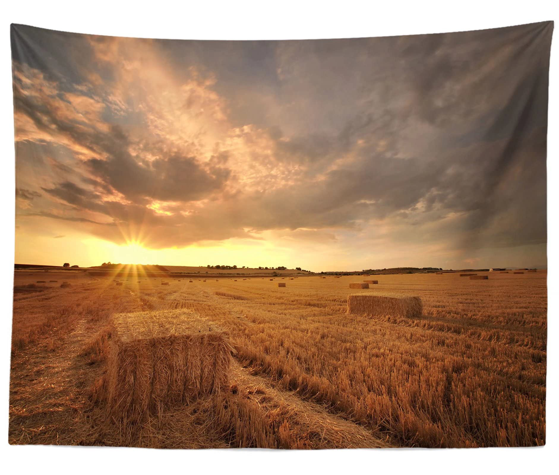 Ophelia & Co. 8x6ft Fabric Fall Wheat Field Backdrop – Harvest ...