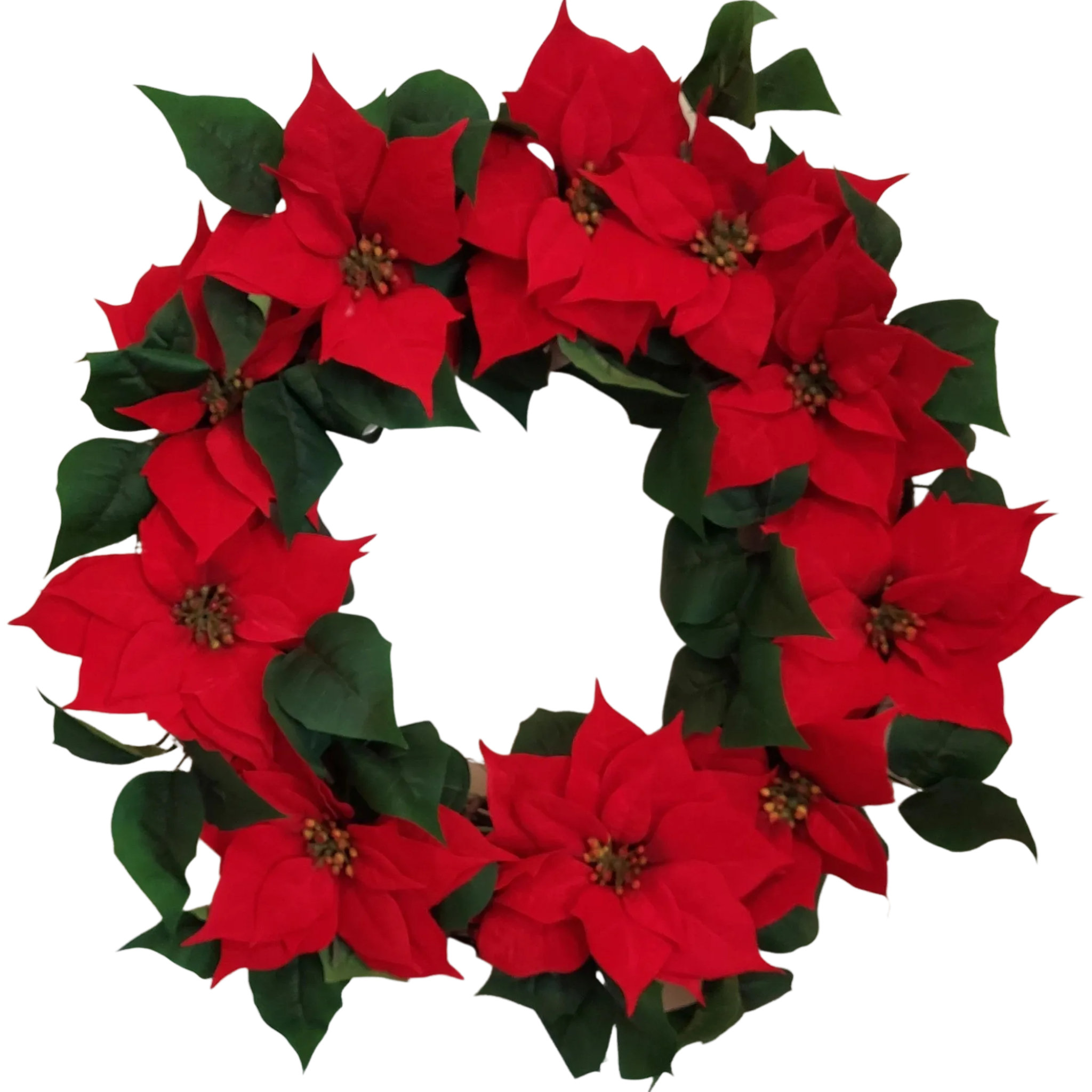 The Holiday Aisle® Poinsettia 22" Velvet Wreath | Wayfair