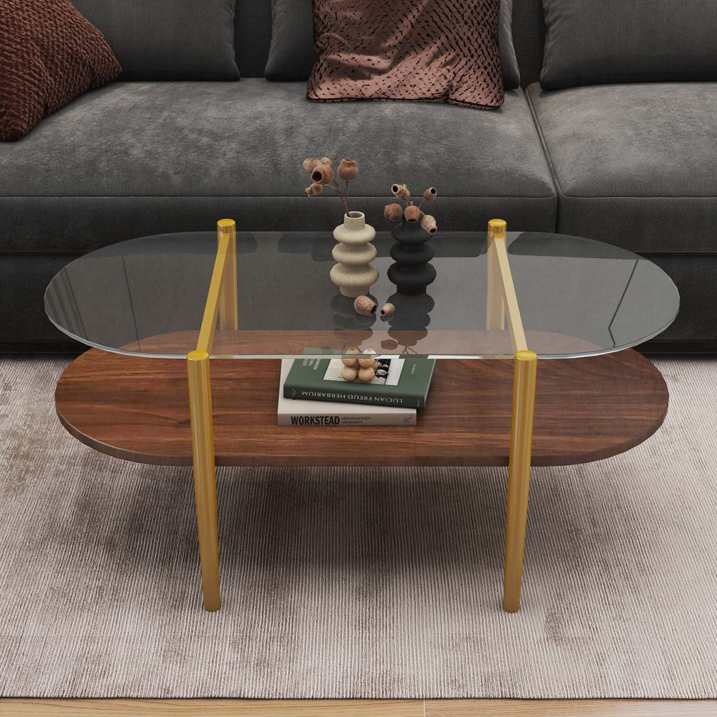 Mercer41 Oval Shaped Glass Coffee Table | Wayfair