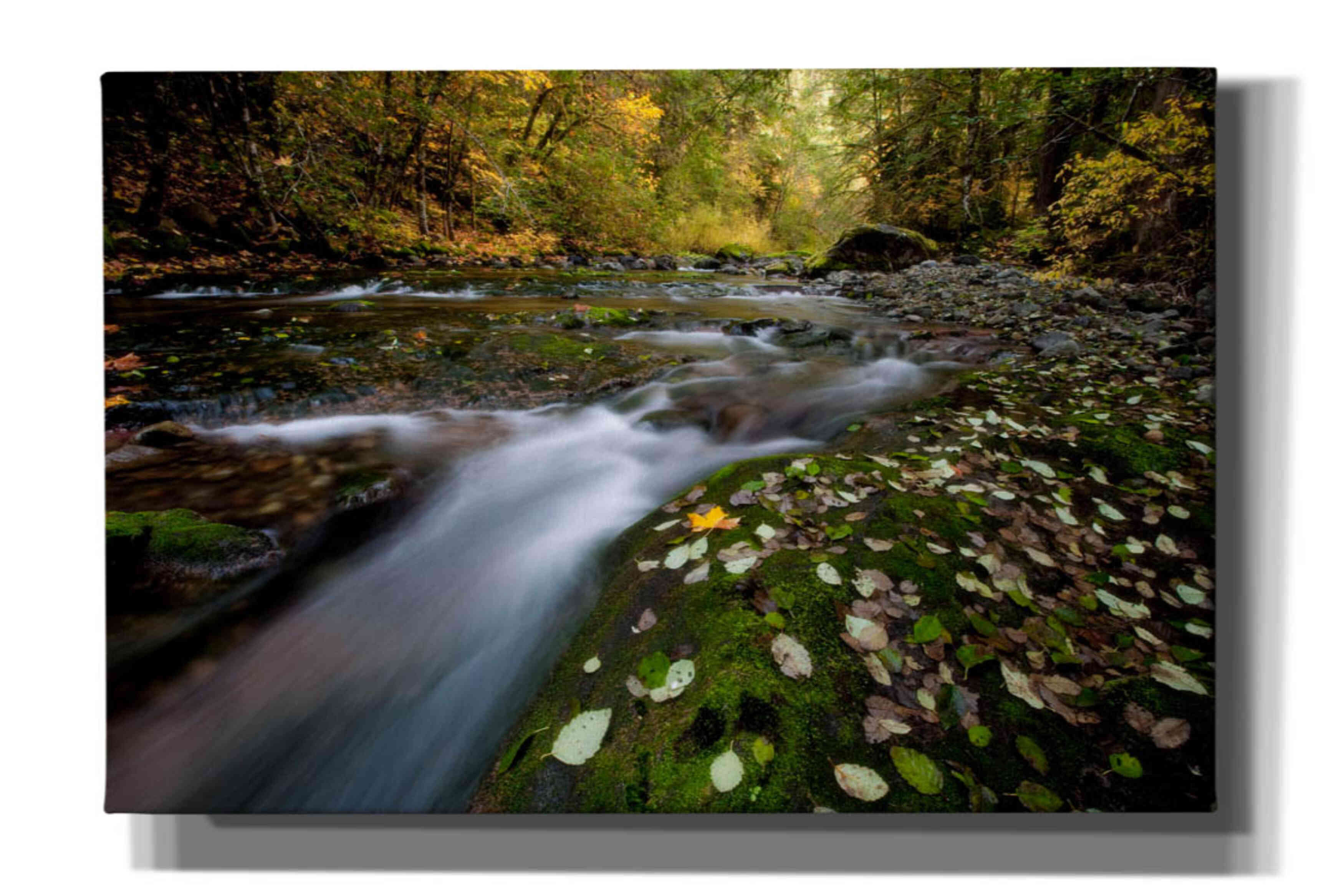 Millwood Pines Rushing Best by Thomas Haney - Wrapped Canvas Graphic ...