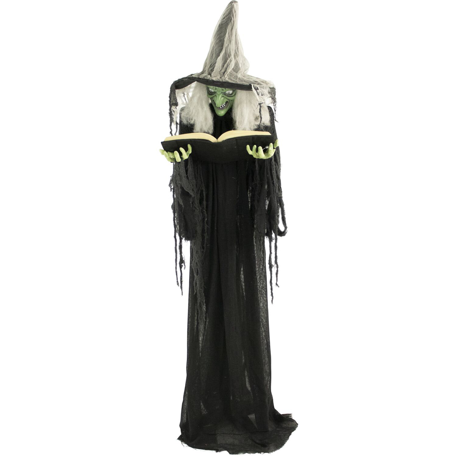 Haunted Hill Farm Life-Size Talking Witch Holding Spell Book, Halloween ...