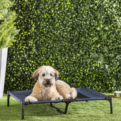 Tucker Murphy Pet™ Bundy Elevated Cot & Reviews | Wayfair