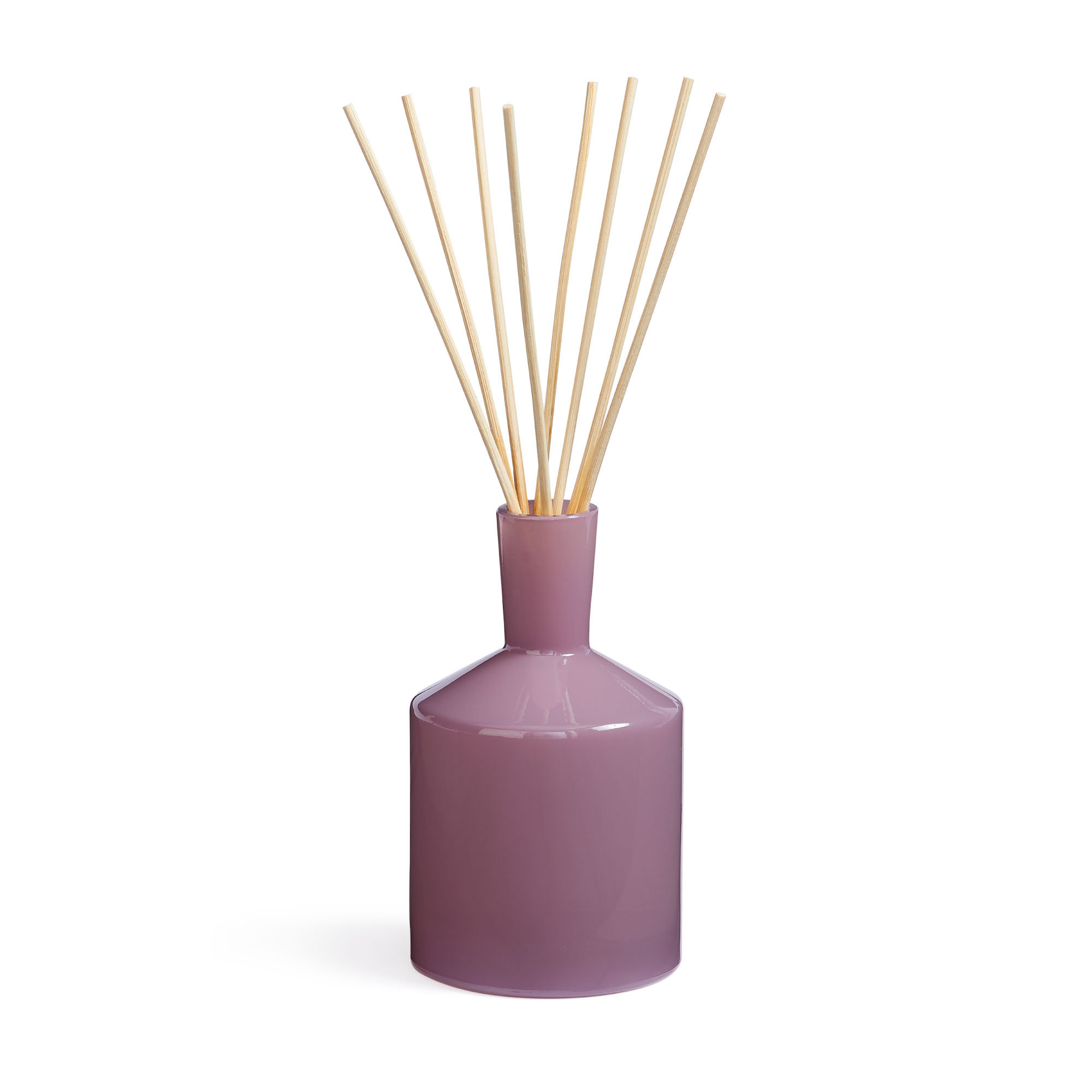 LAFCO New York Midnight Cactus Classic Reed Diffuser | Wayfair