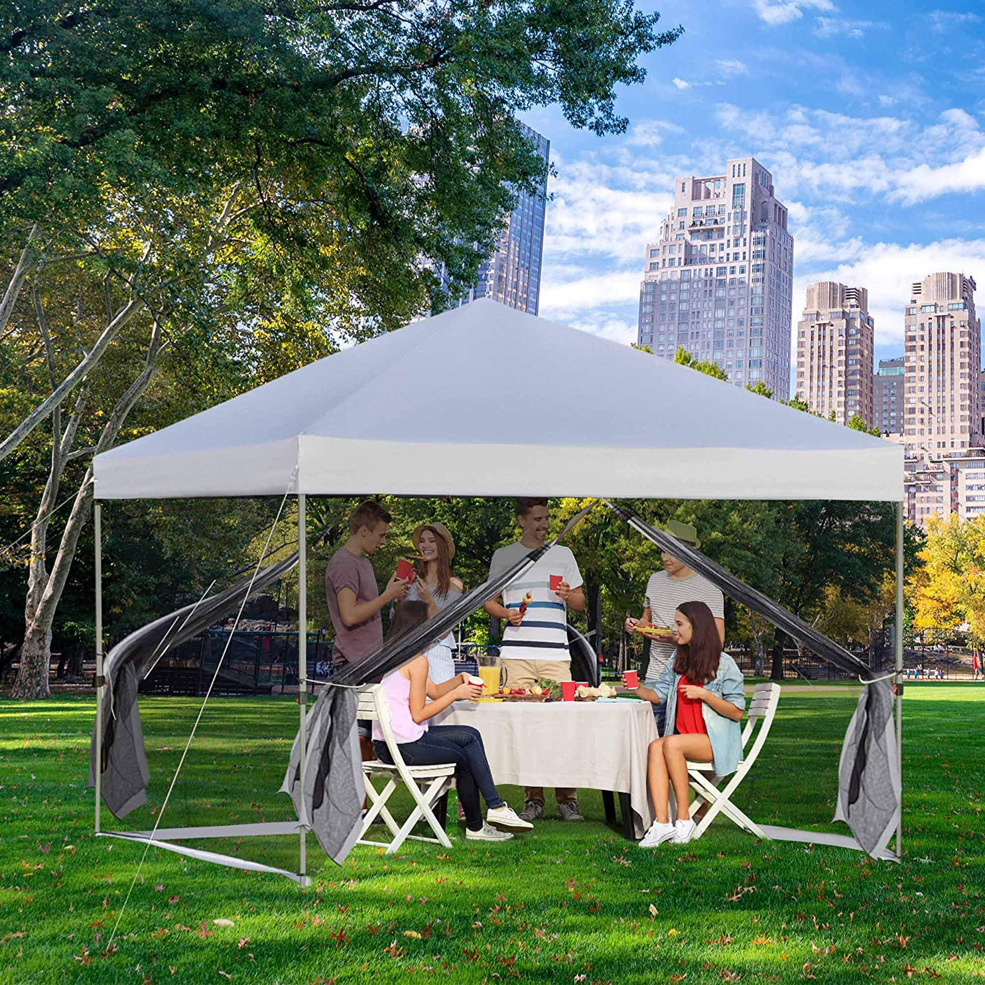 Arlmont & Co. 10' X 10' Pop Up Canopy Portable Folding Tent Gazebo ...
