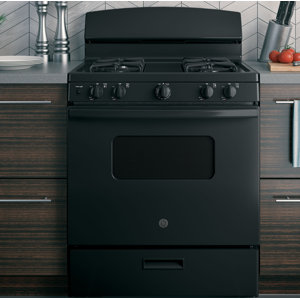 GE Appliances 30" 4.8 cu. ft. Freestanding Gas Range & Reviews | Wayfair