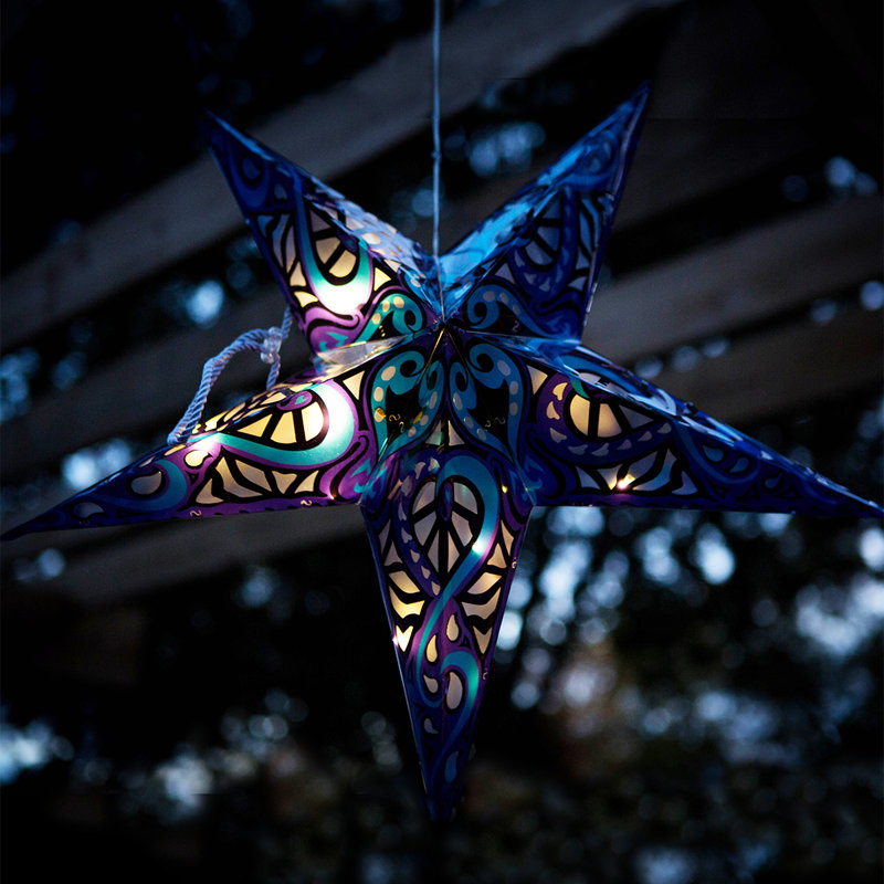 Canora Grey Brigit 22.5" Solar Powered Outdoor Hanging Light & Reviews ...