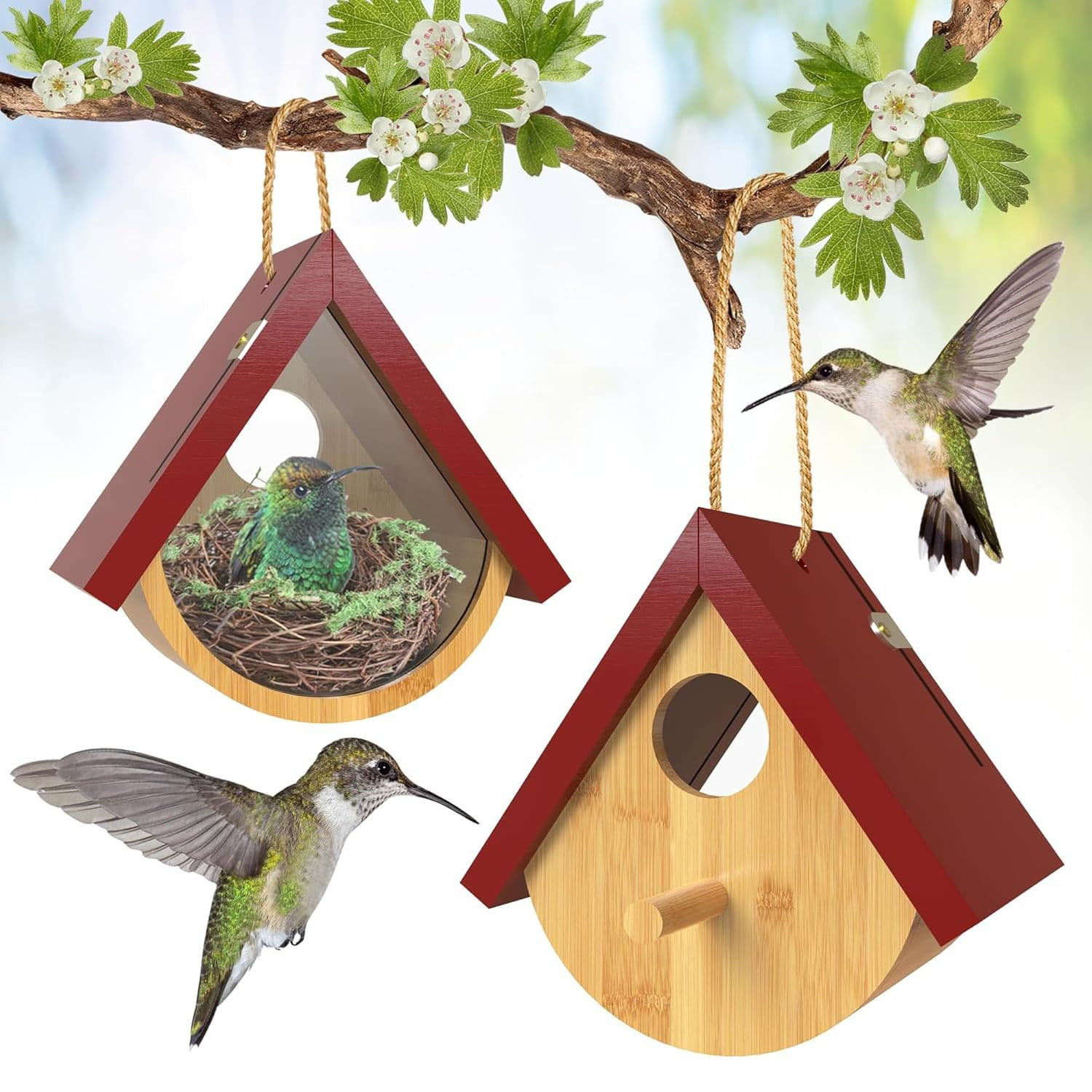 Arlmont & Co. 2-Pack Hummingbird Houses - Wayfair Canada
