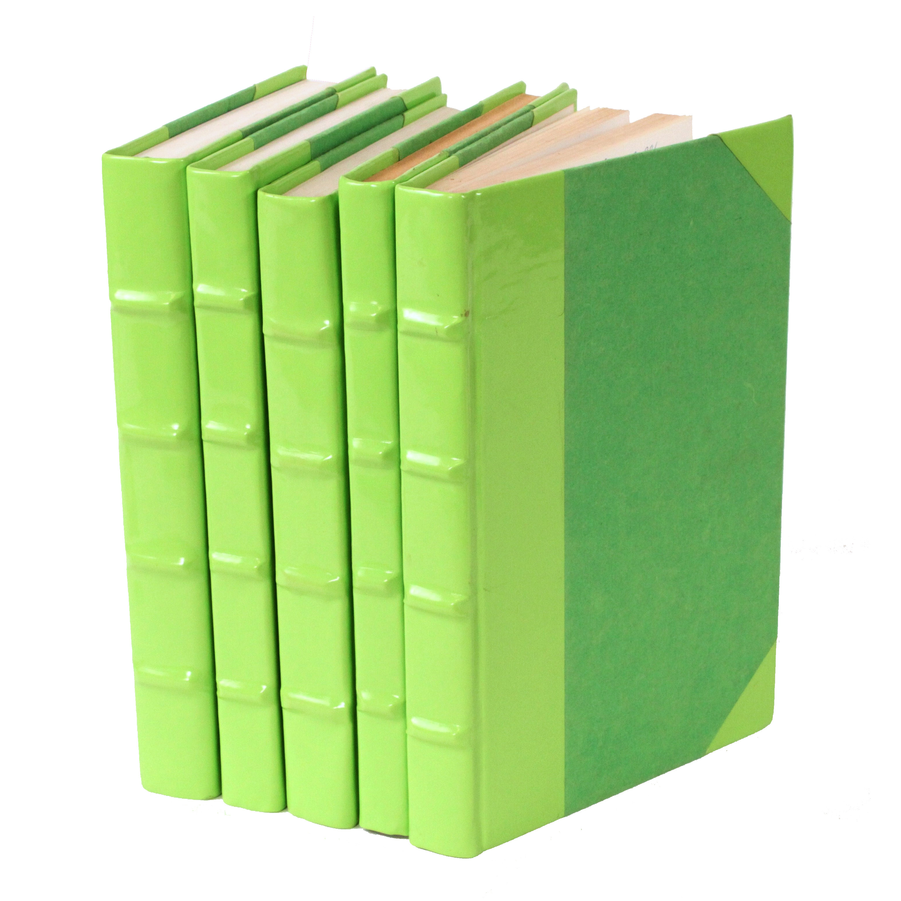 Leather Books 5 Piece Patent Leather Decorative Book Set | Wayfair