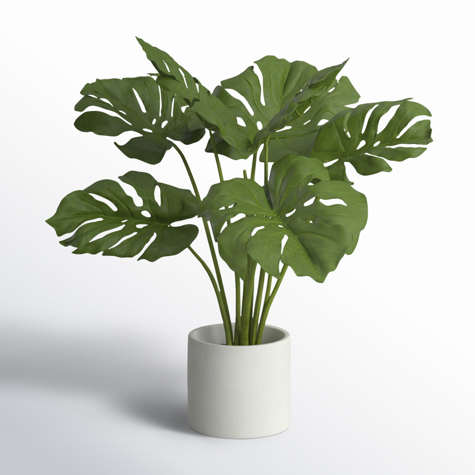 AllModern 21" Evergreen Plant in Pot & Reviews | Joss & Main