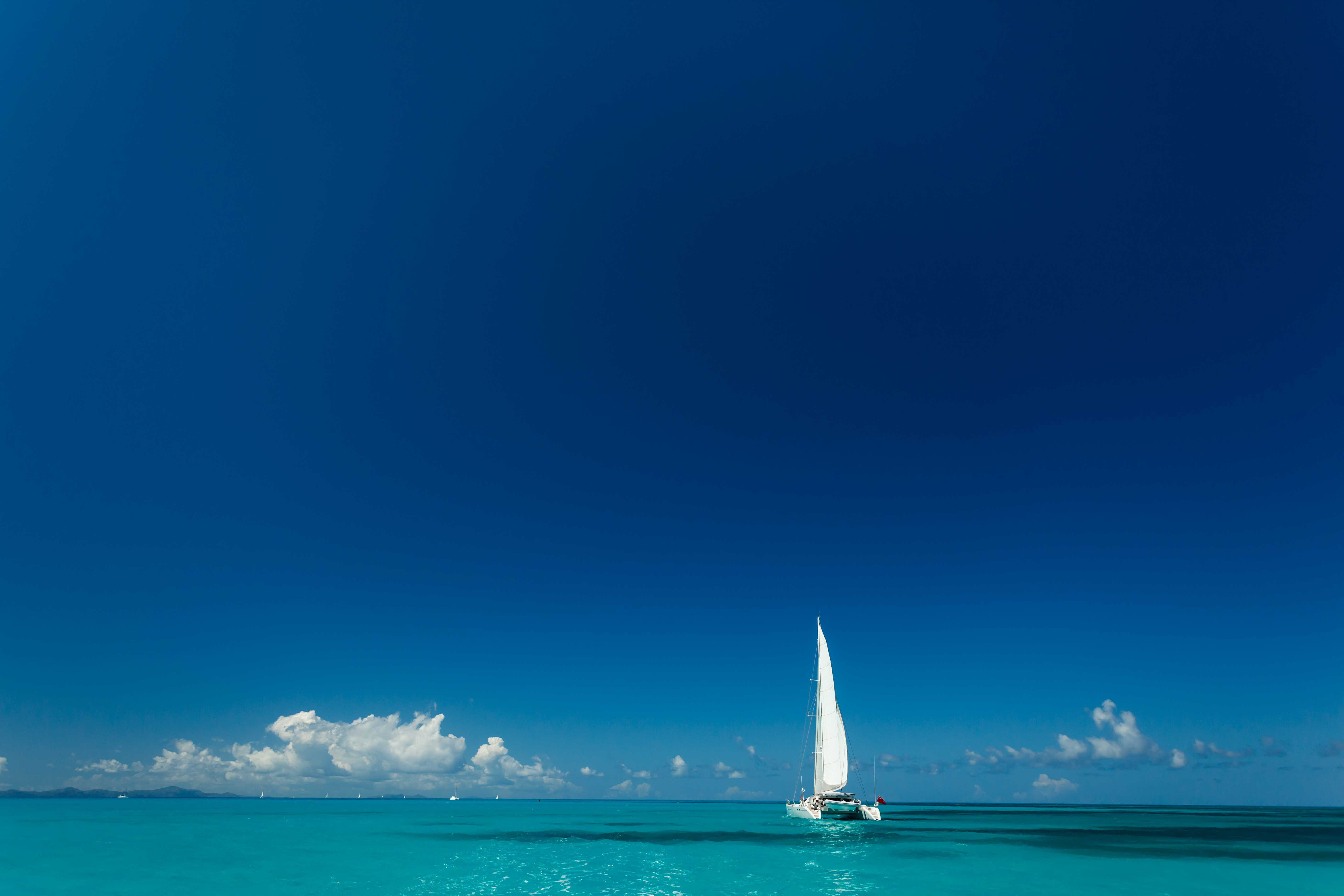 Breakwater Bay Catamaran With Tall White Sail Cruises by Pniesen ...
