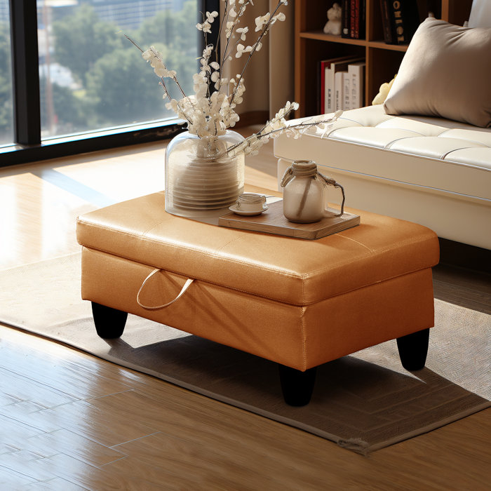 Ebern Designs Pinecrest Vegan Leather Storage Ottoman Bench Storage ...