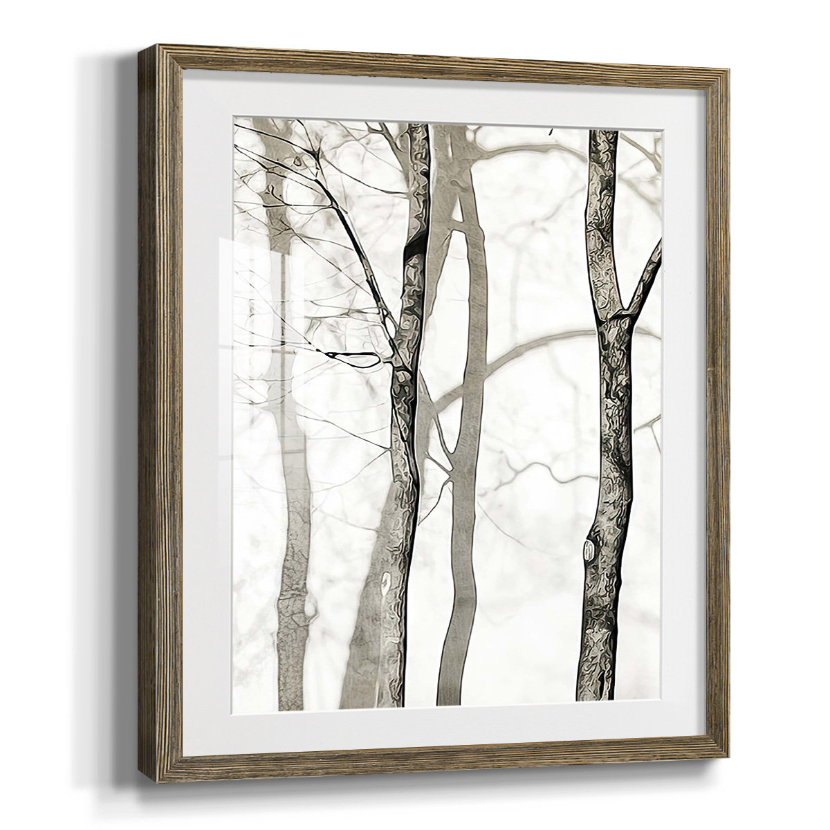 Wrought Studio Shadowed Tree Trunks I -Framed Print w Matt & Glass ...