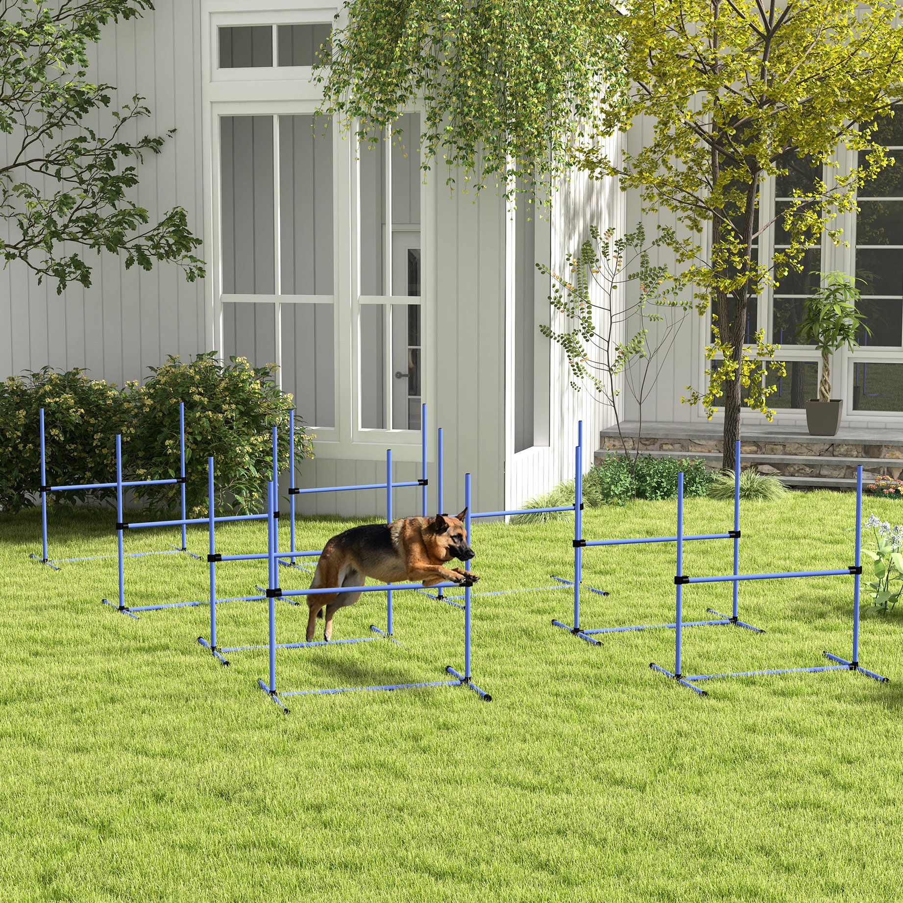 Hokku Designs 8 Bar Dog Agility Course With Adjustable Jump Height ...
