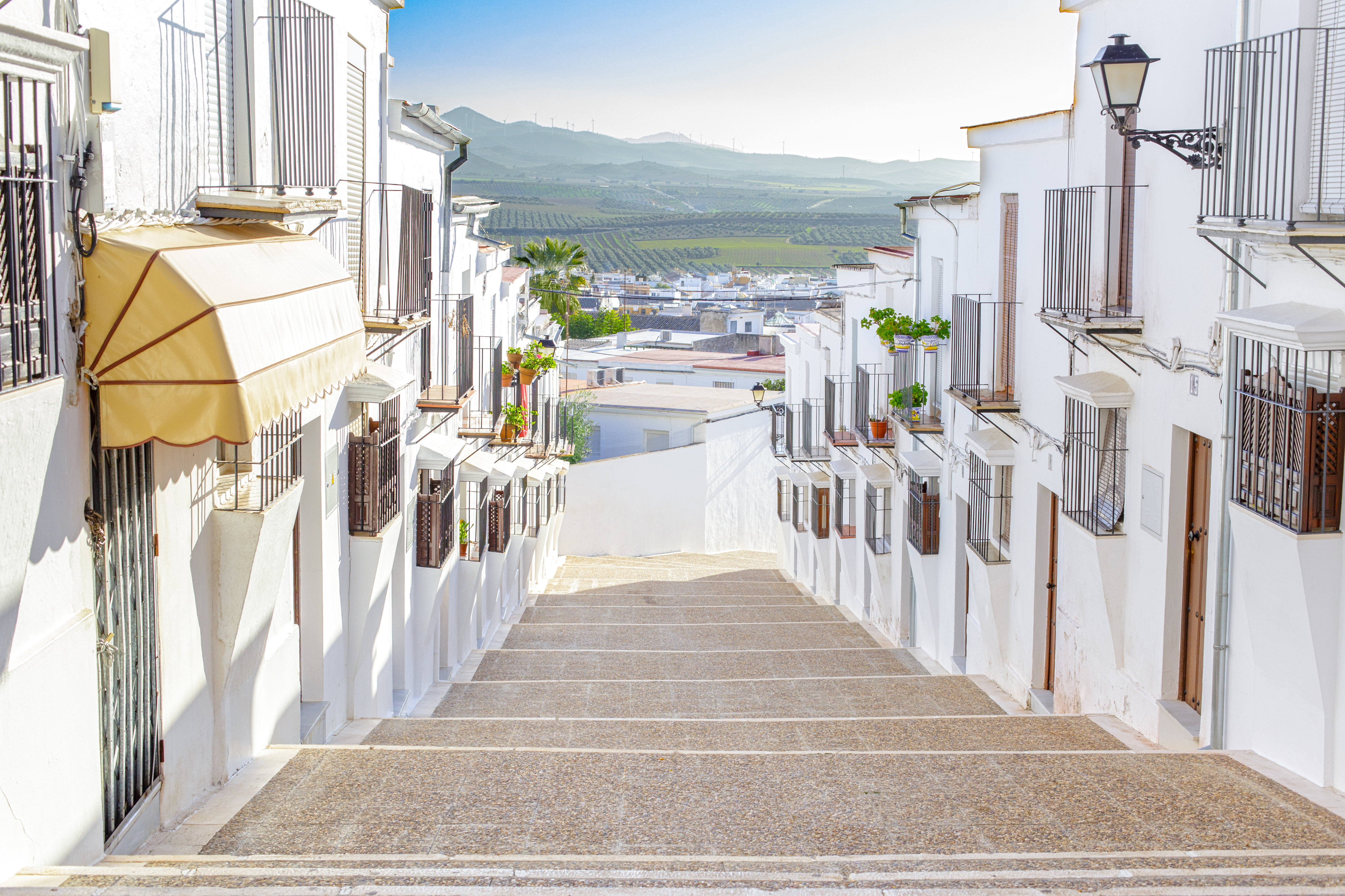 Ebern Designs Preana Osuna. Ducal Town On Canvas Photograph | Wayfair