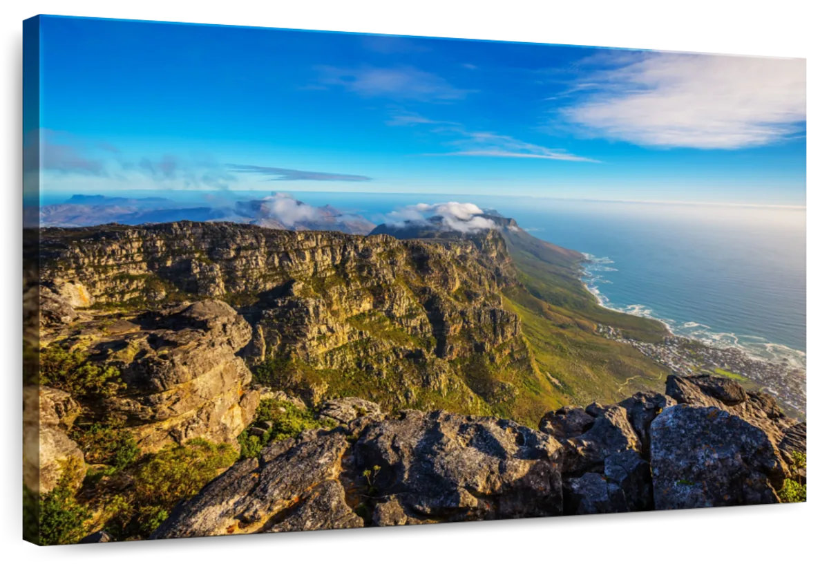 Elephant Stock Table Mountain Scenery | Wayfair