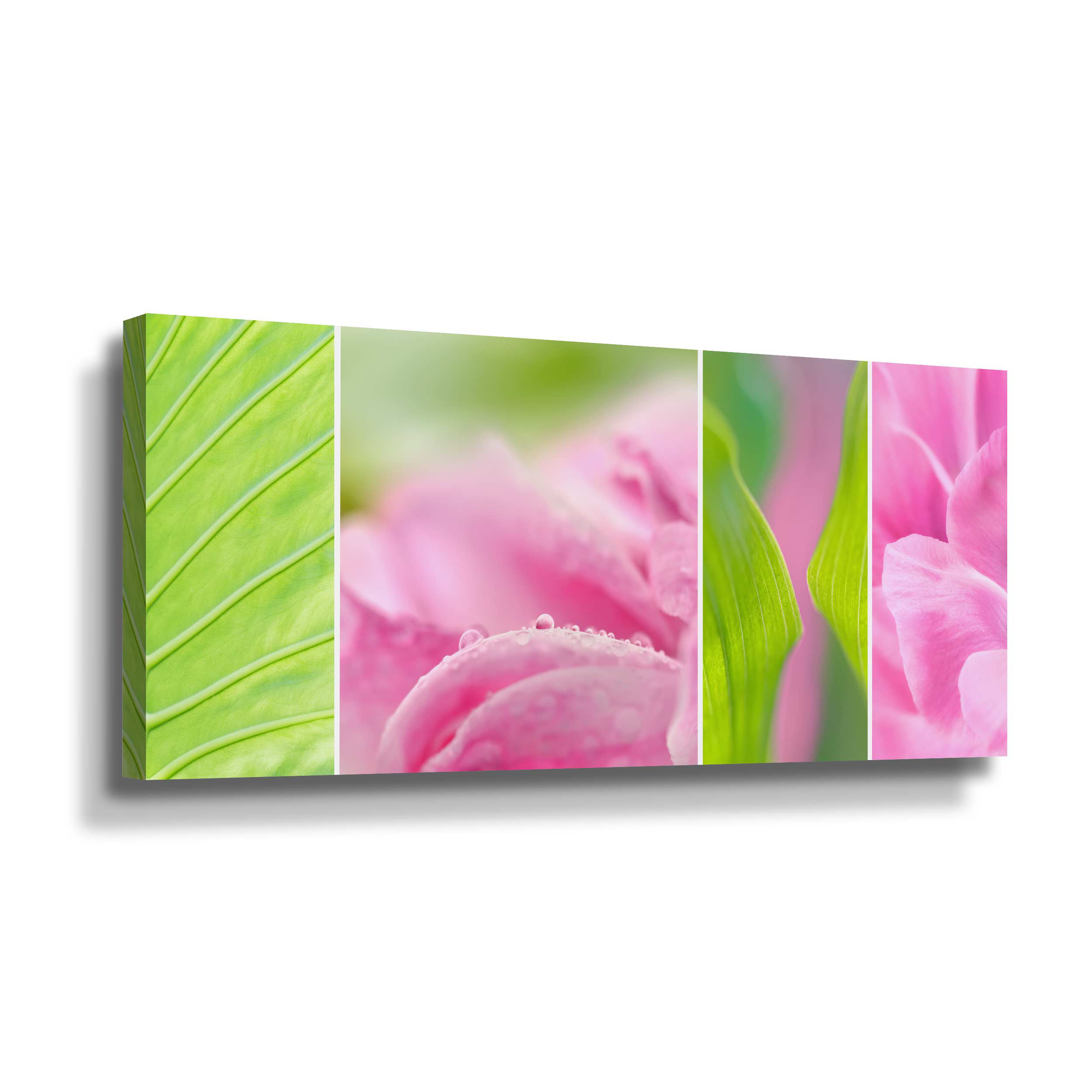 Latitude Run® Pink And Green Petals By Cora Niele Gallery - Wayfair Canada