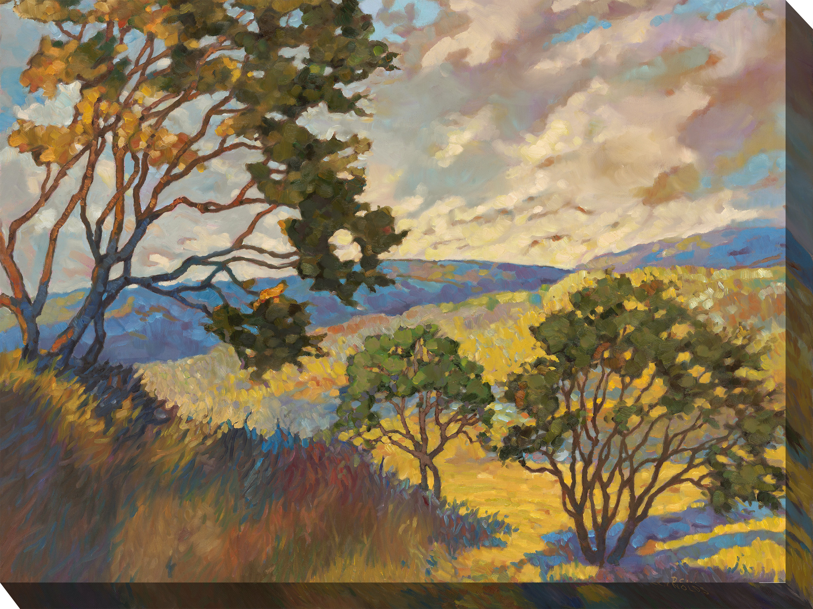 Red Barrel Studio Art extérieur No Boundaries - Wayfair Canada