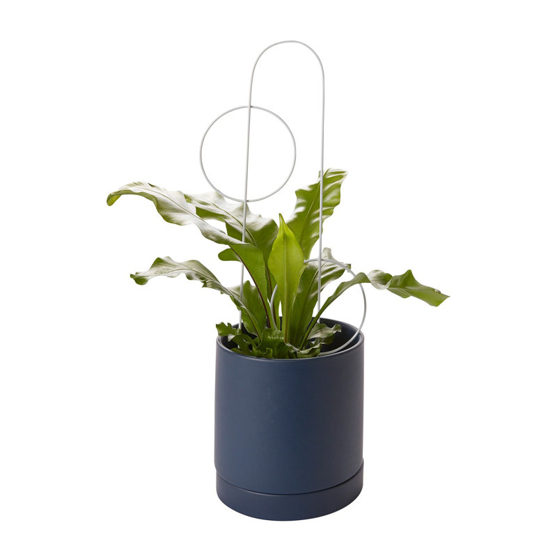 Ebern Designs Hepzi Plant Stick | Wayfair