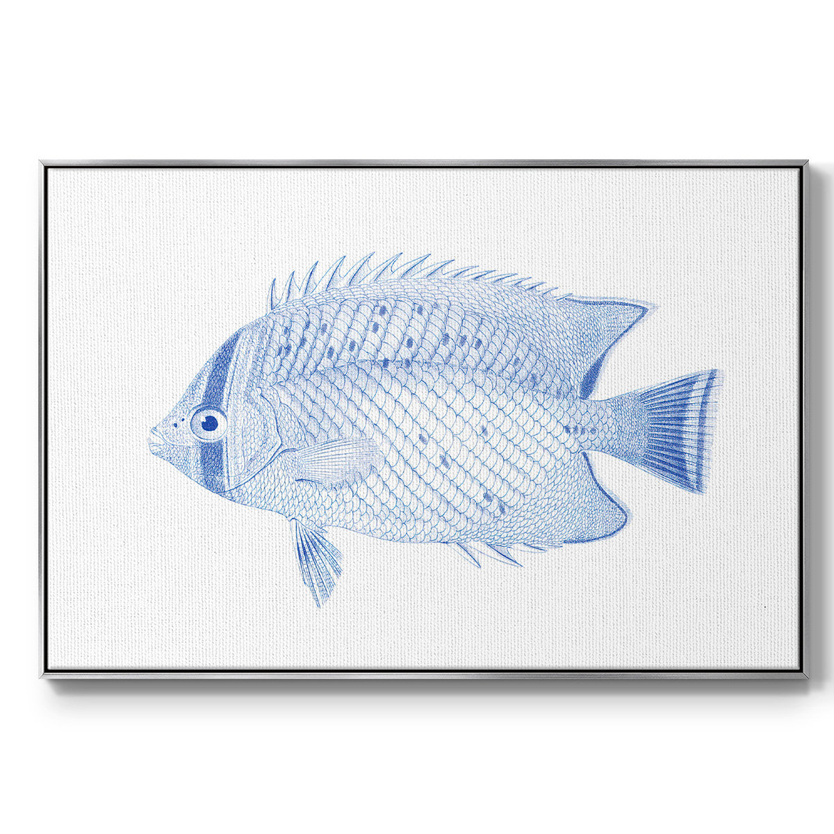 Wexford Home Blue And White Tropical Fish III Framed On Canvas Print ...