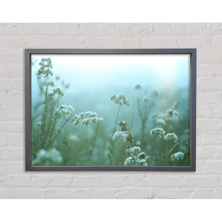 Bright Star Fragile Beauty - Single Picture Frame Art Prints on Canvas ...