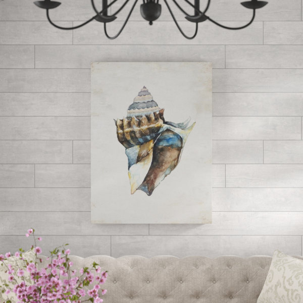 Chelsea Art Studio Beverly Fuller Shell Compilation I On Canvas by ...