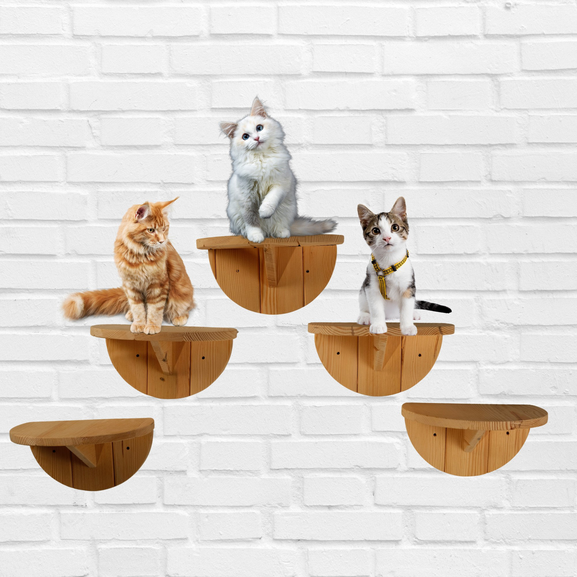 East Urban Home 12" Forbes Cat Perch | Wayfair