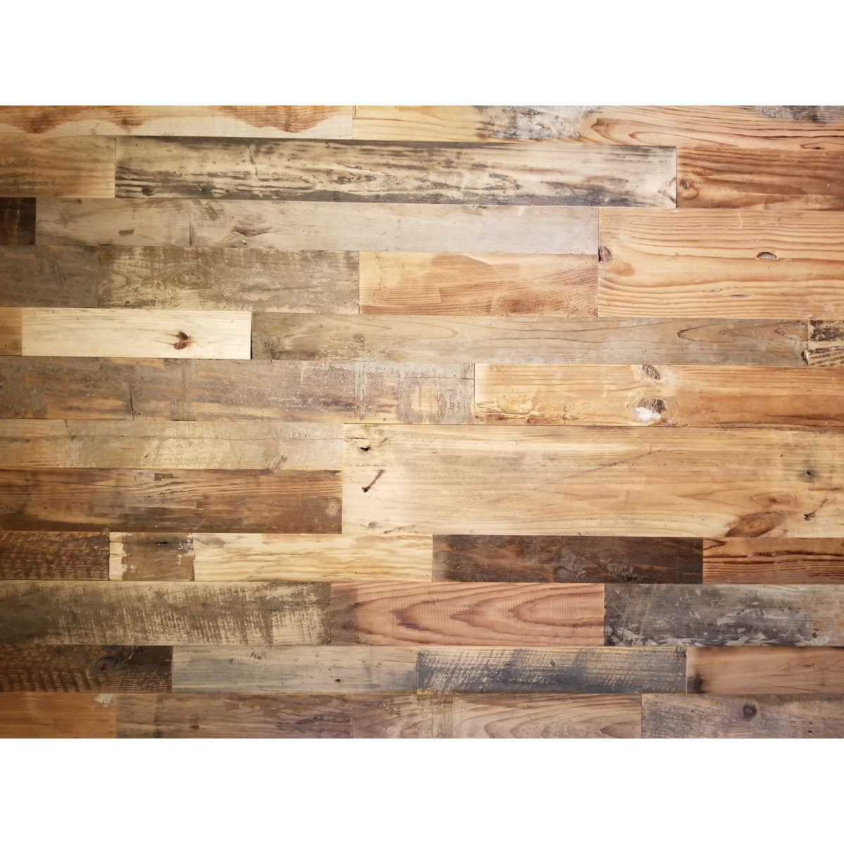 Heirloum Reclaimed Wood Wall Paneling in Tan & Reviews | Wayfair