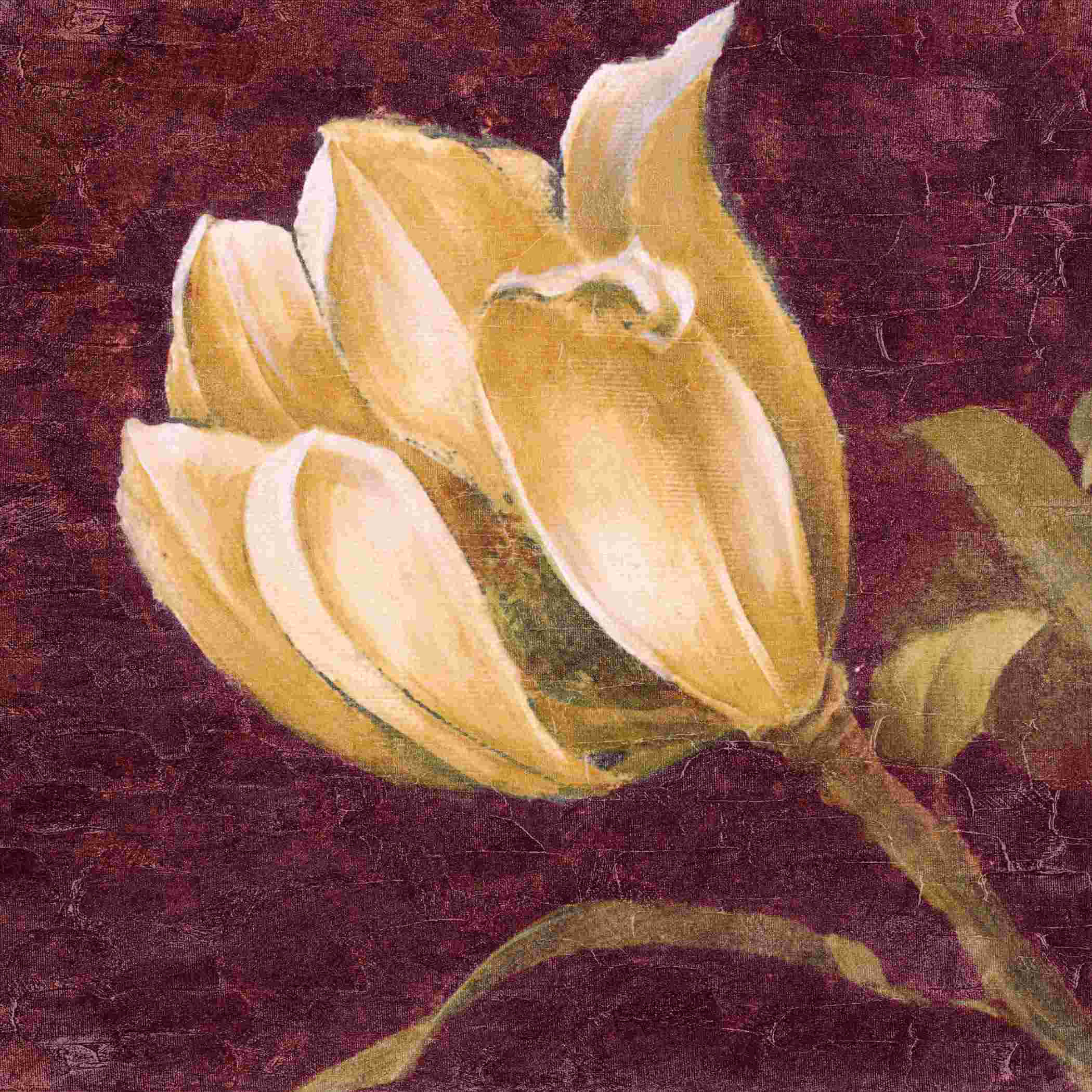 Winston Porter Magnolia Fresco 4 - Wayfair Canada